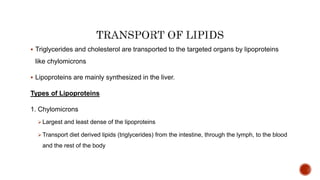 2 Lipid metabolism & catabolismhhhhhh.pptx