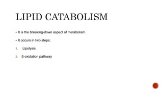 2 Lipid metabolism & catabolismhhhhhh.pptx