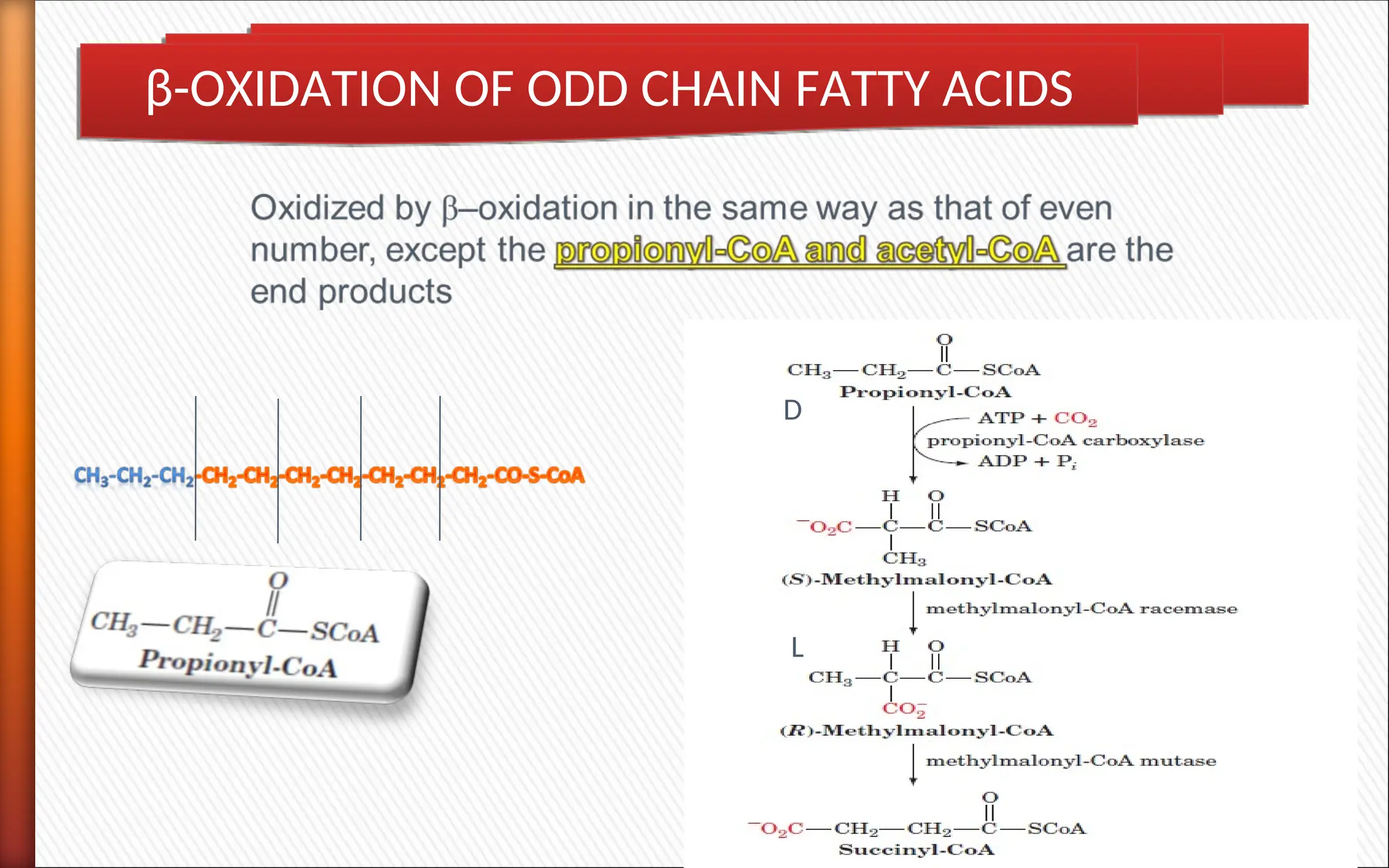 2 lipid oxidation types and steps and regulation.ppt