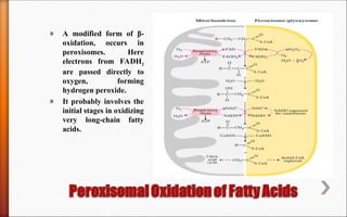 2 lipid oxidation types and steps and regulation.ppt