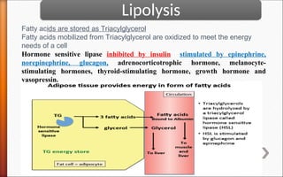 2 lipid oxidation types and steps and regulation.ppt