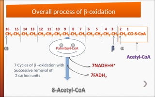 2 lipid oxidation types and steps and regulation.ppt
