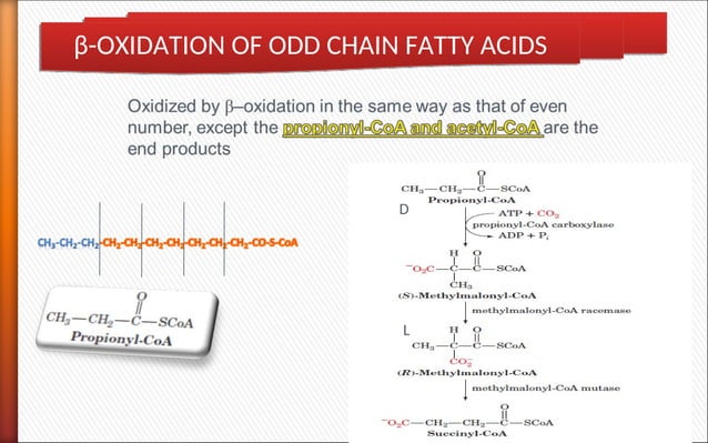 2 lipid oxidation types and steps and regulation.ppt