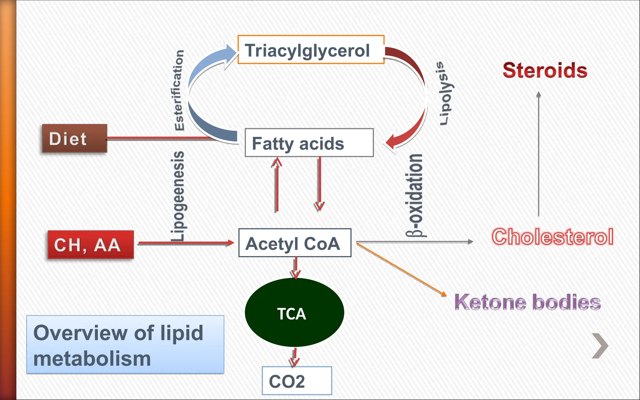 2 lipid oxidation.and its various pathways | PPT
