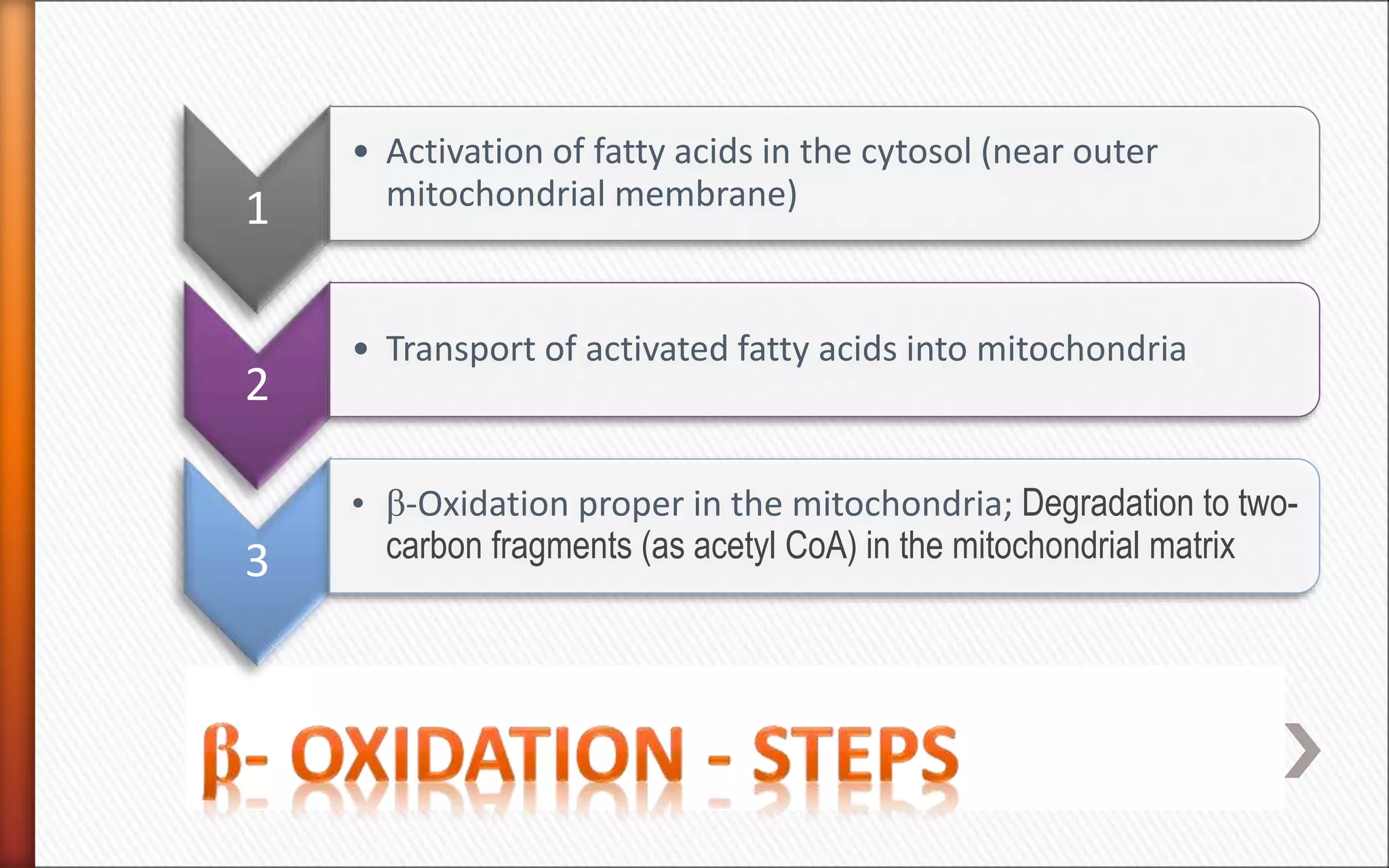 2 lipid oxidation (1).ppt