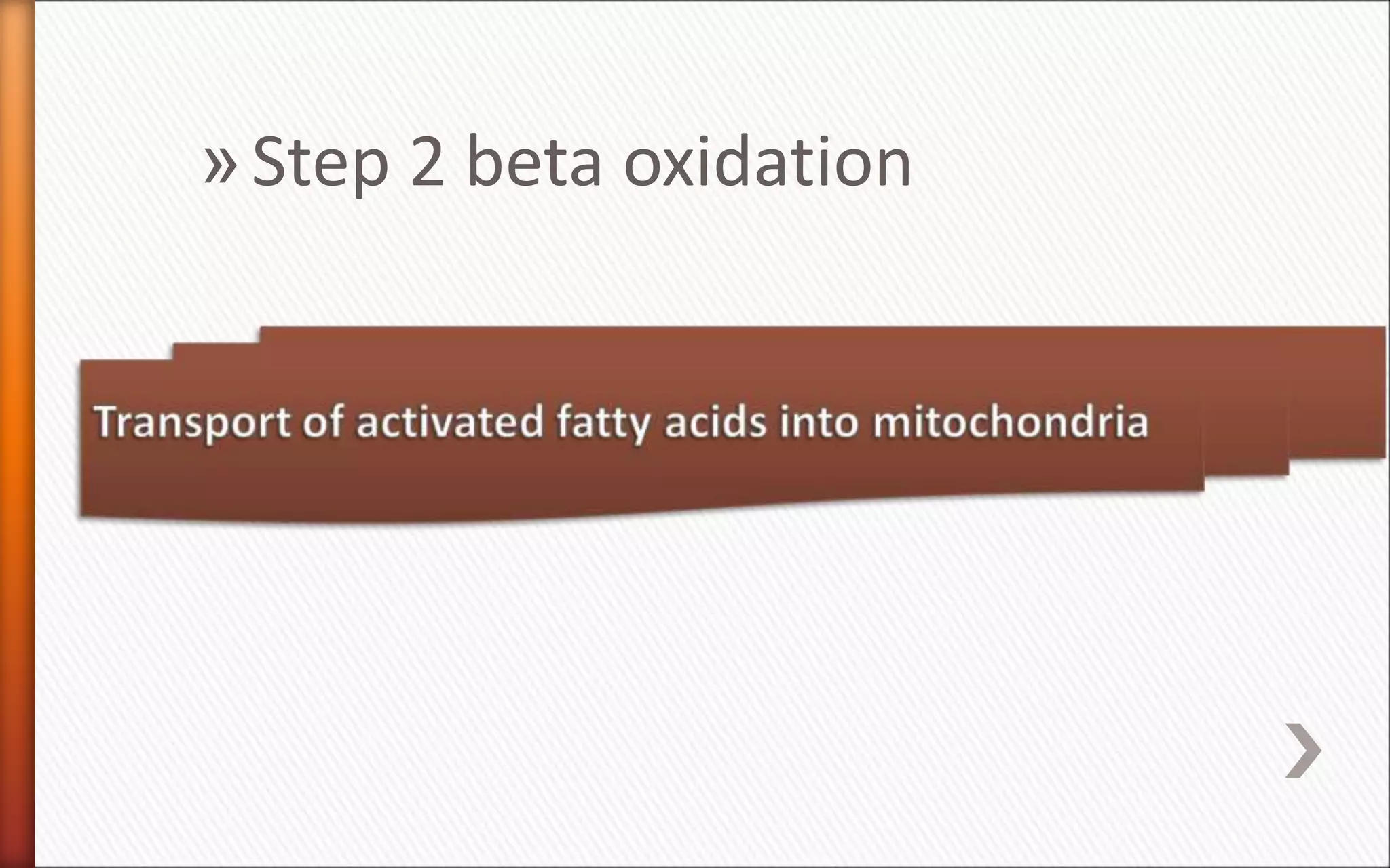 2 lipid oxidation (1).ppt