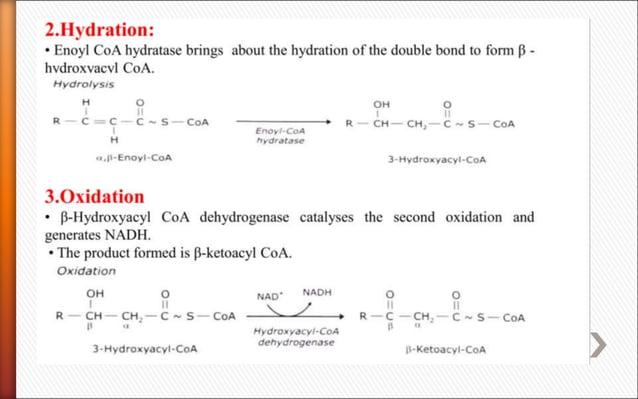 2 lipid oxidation (1).ppt