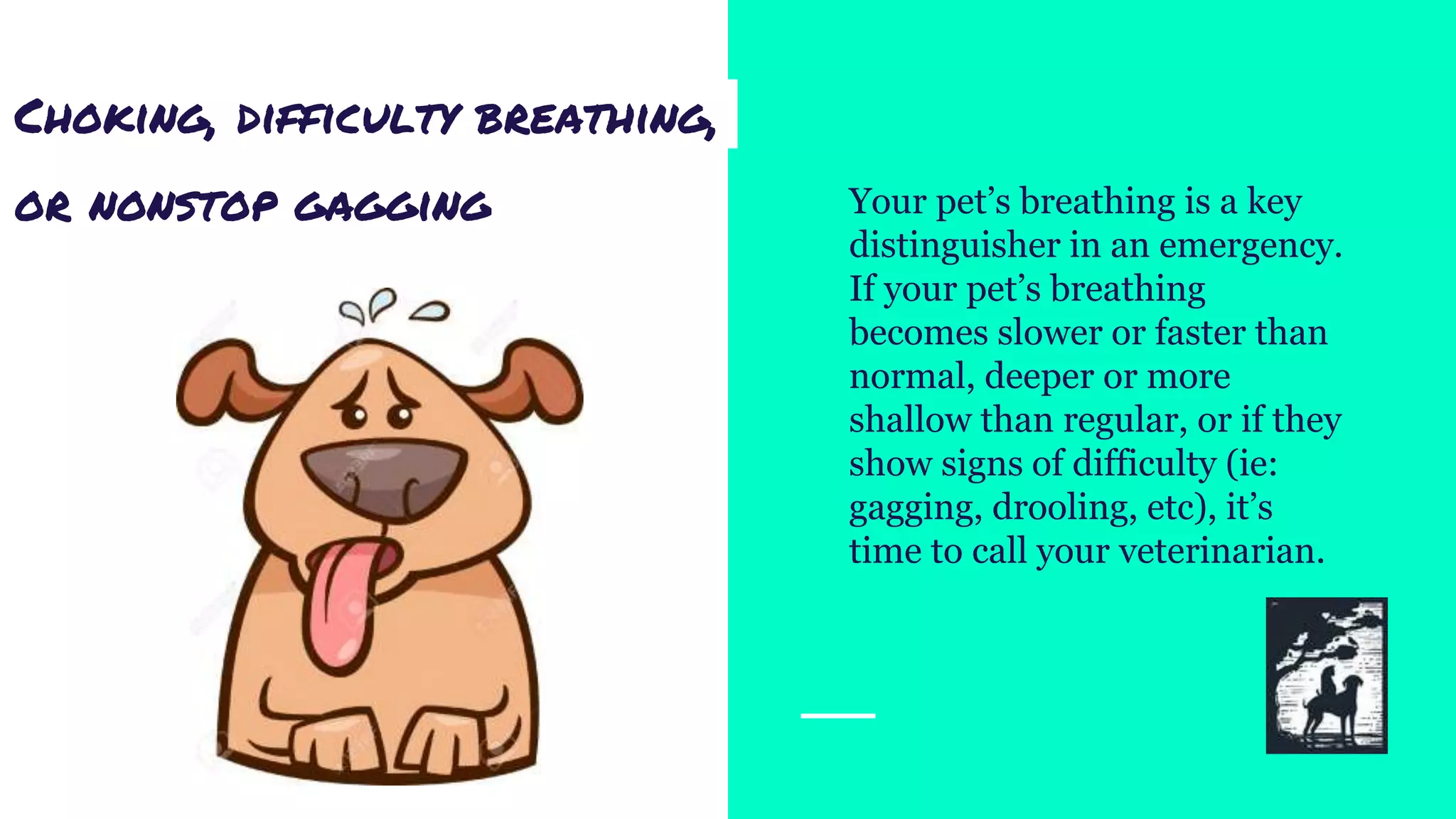 Common Pet Emergencies | PPTX