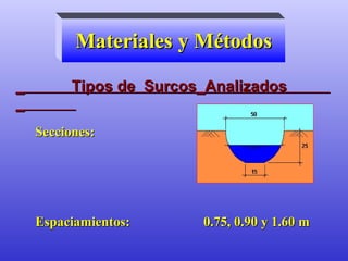 Longitud Máxima de los Surcos Para Evitar Erosión y Desbordamiento por ...
