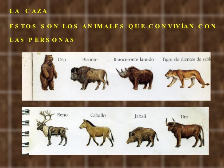 Los Hombres Primitivos