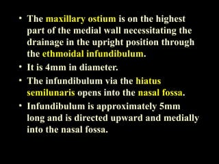 PNS_ANATOMY_AND_PATHOLOGY.pptx for educational purposes | PPTX