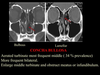 PNS_ANATOMY_AND_PATHOLOGY.pptx for educational purposes | PPTX