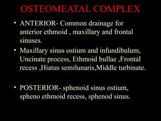 PNS_ANATOMY_AND_PATHOLOGY.pptx for educational purposes | PPTX