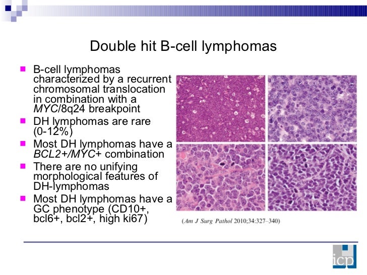 LLA 2011 - L. Mazzucchelli - Principles of pathology and microscopic