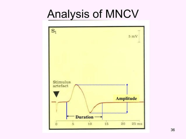 L1-_EMGMNCV.power point presentation for ncv | PPT