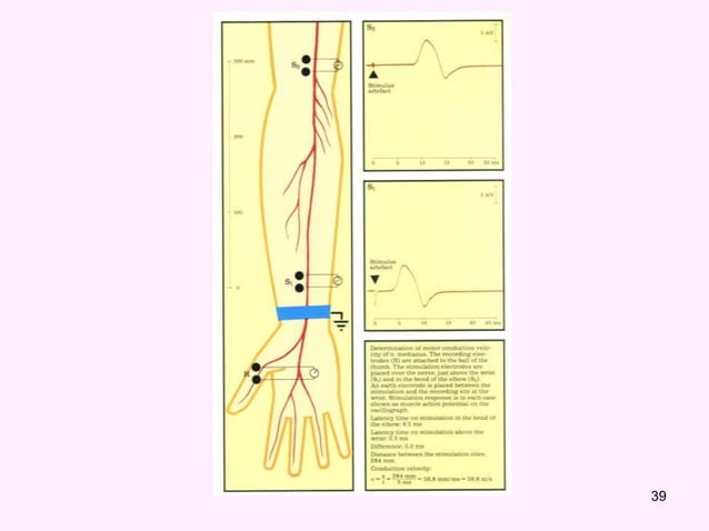 L1-_EMGMNCV.power point presentation for ncv | PPT