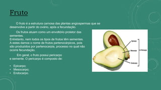 Morfologia das angiospermas. | PPTX