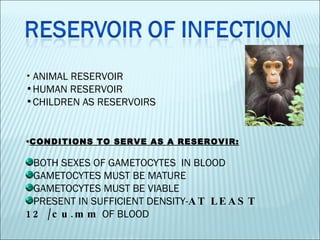 2 Malaria Epidemiology | PPT