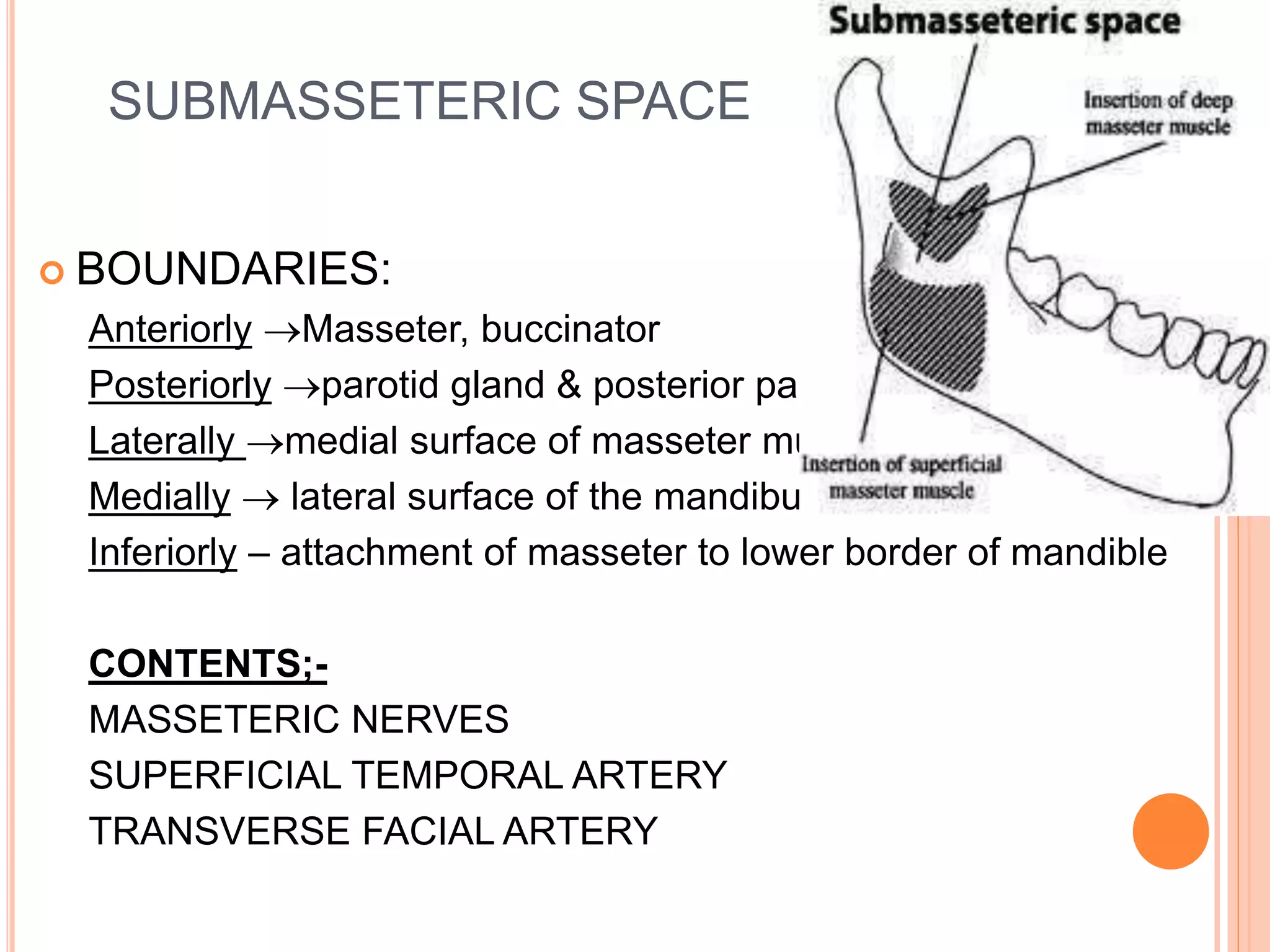 2 mandibular_spaceinfection-.pptx