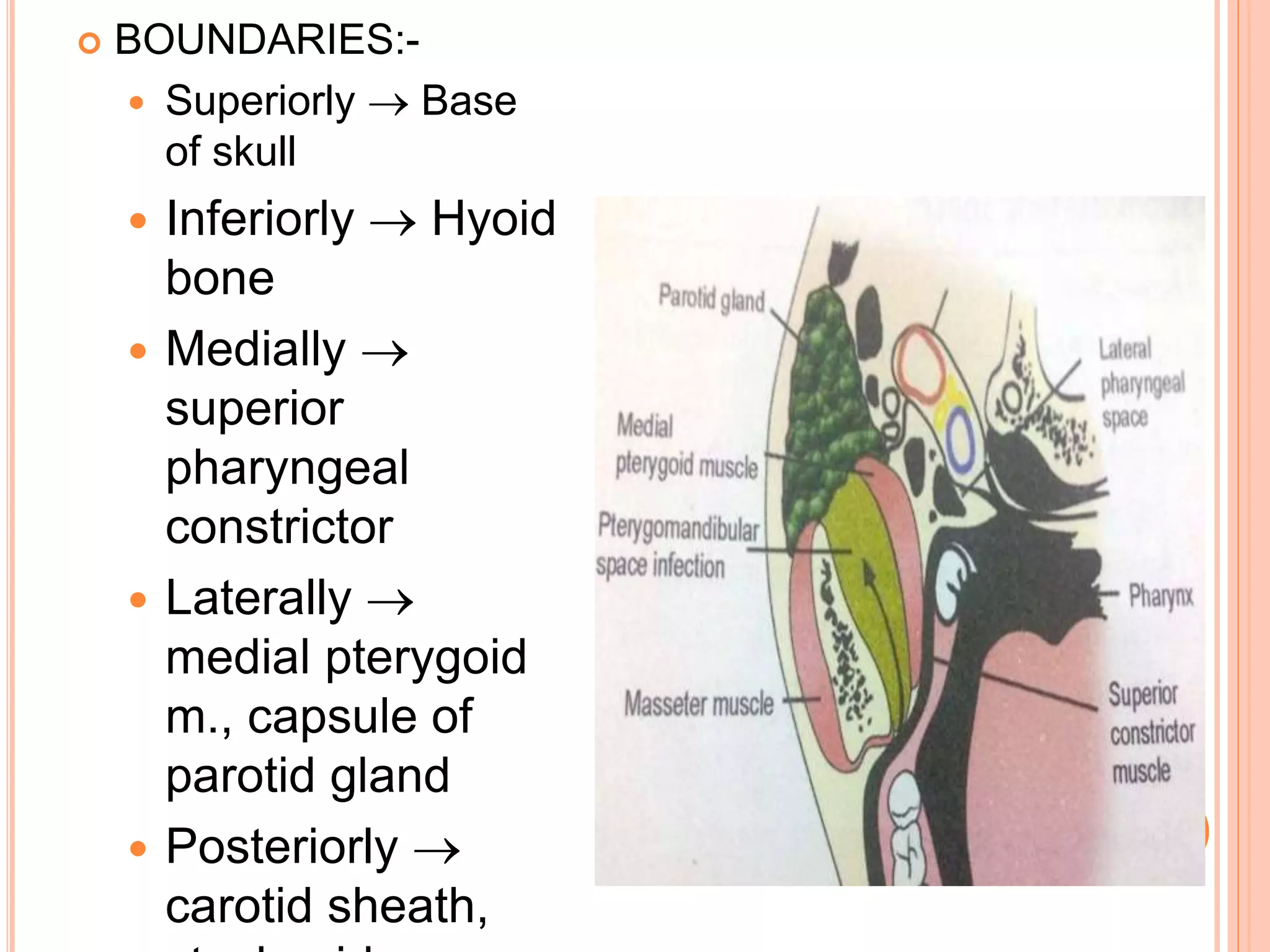 2 mandibular_spaceinfection-.pptx