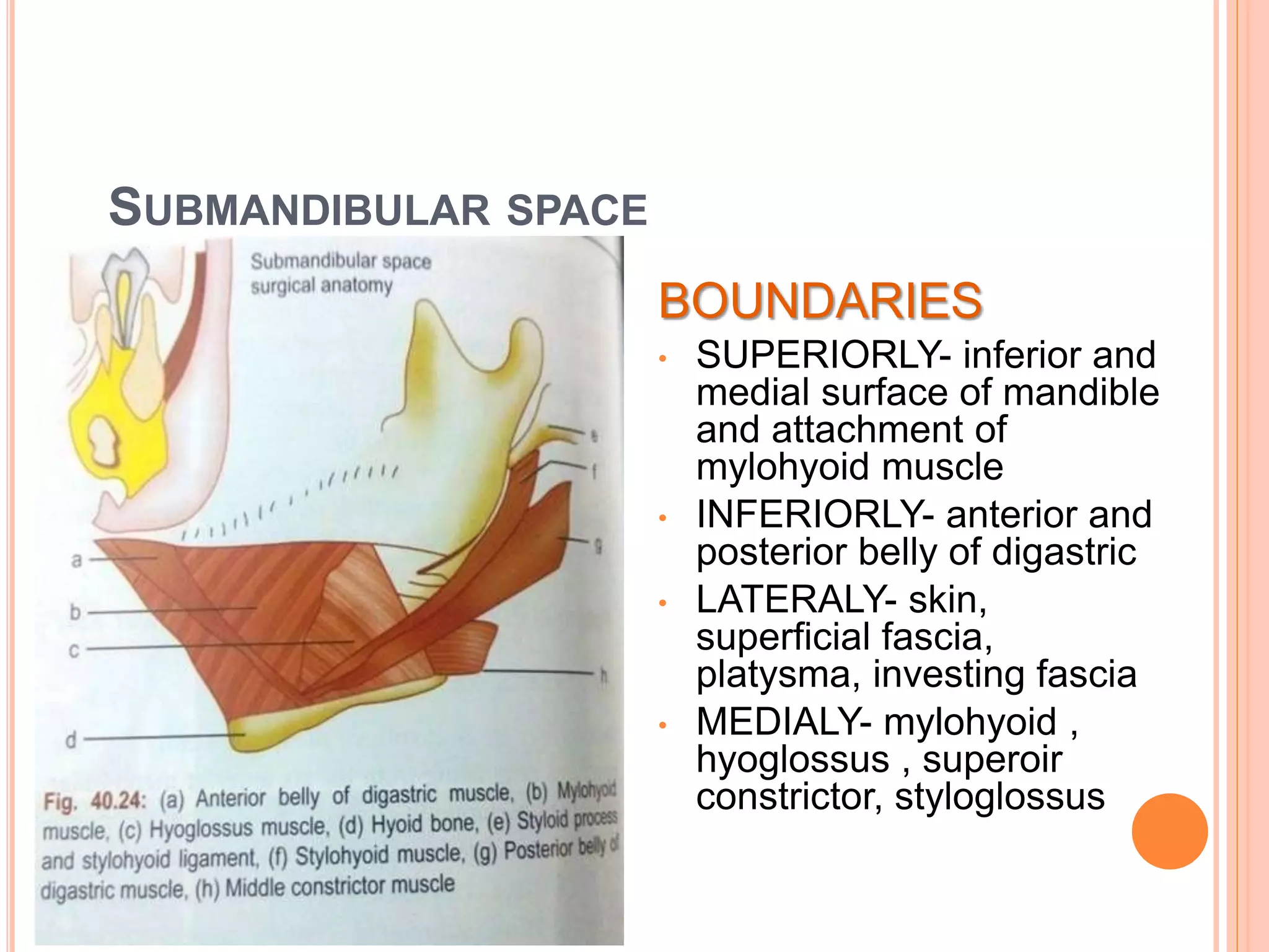 2 mandibular_spaceinfection-.pptx
