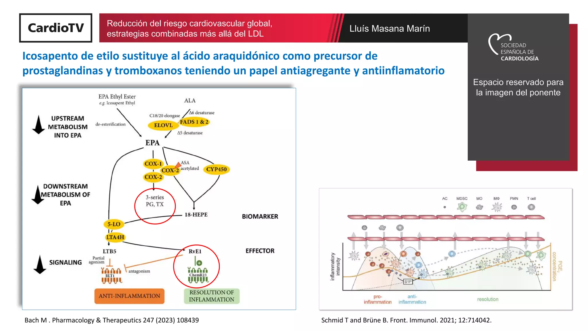 Fisiopatología de la placa de ateroma | PDF