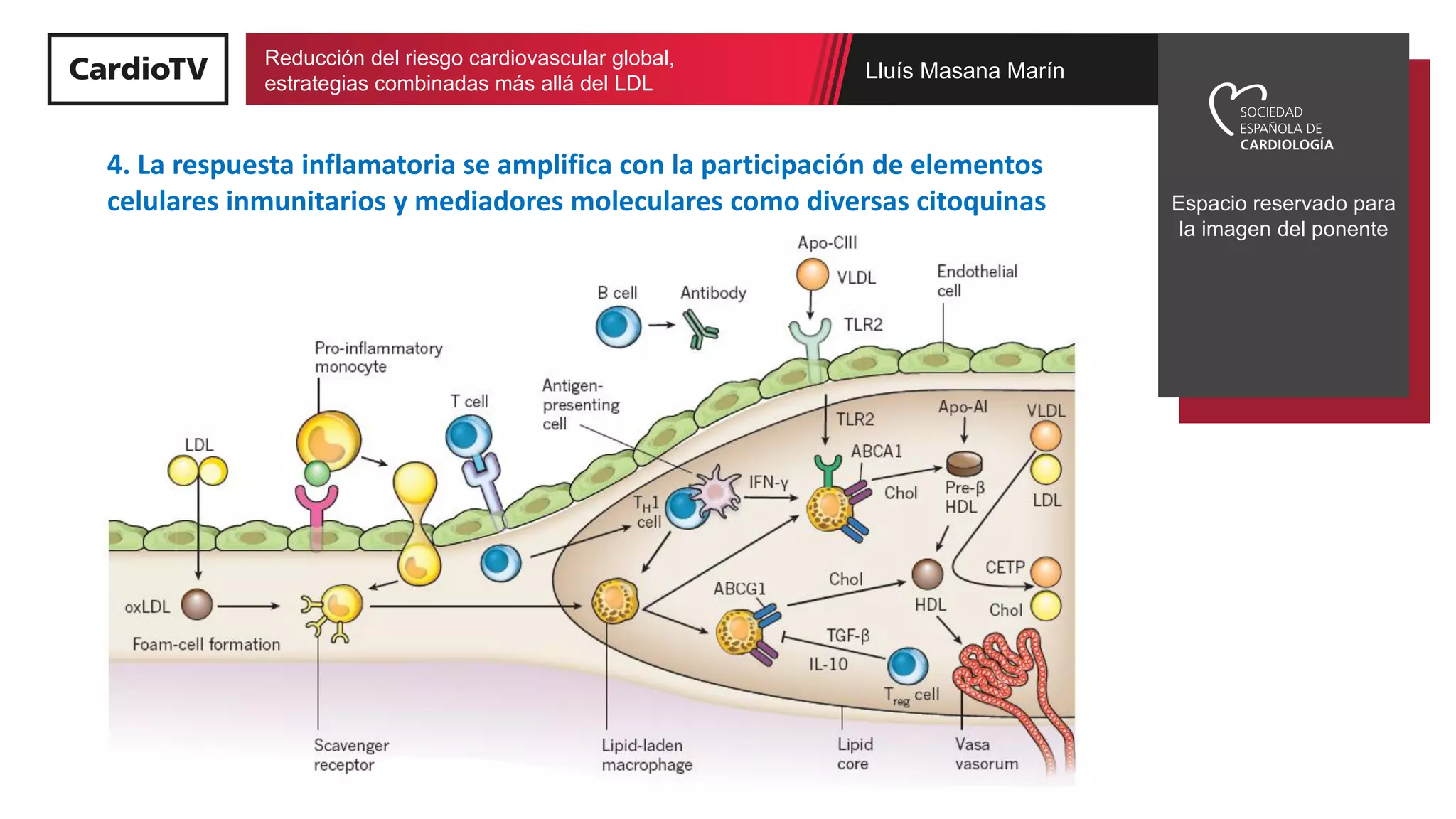 Fisiopatología de la placa de ateroma | PDF