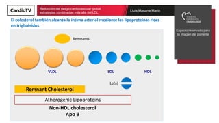 Fisiopatología de la placa de ateroma | PDF