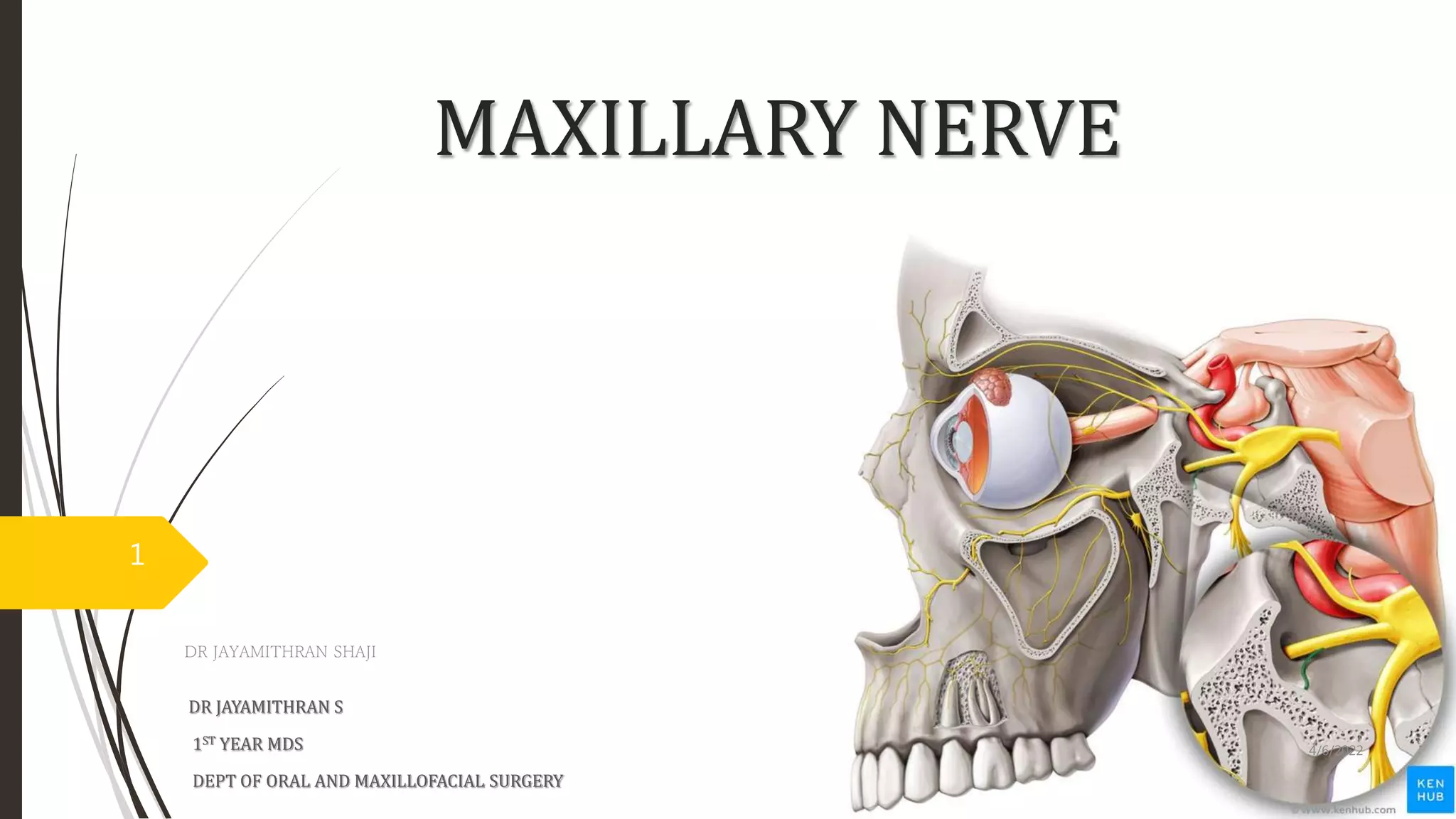 Maxillary nerve | PPTX