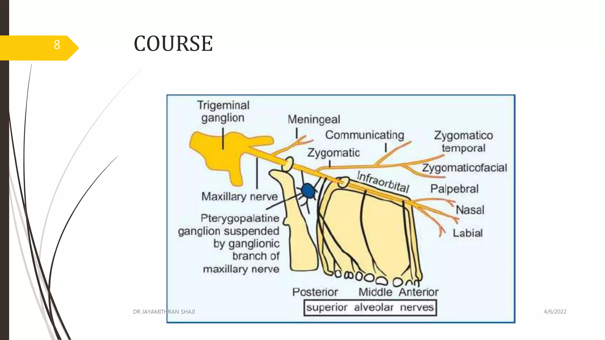 Maxillary nerve | PPTX