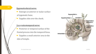 Maxillary nerve | PPTX