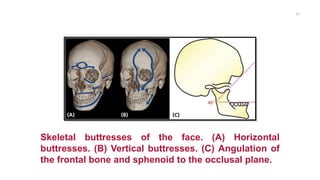Lecture 2 maxillofacial trauma | PPTX