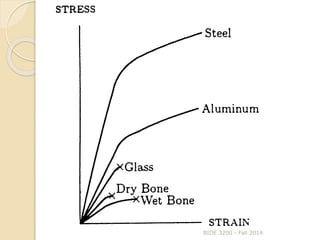 2 mechanical properties of bone | PPTX