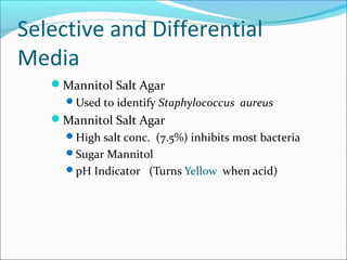 media microbial culture | PPT