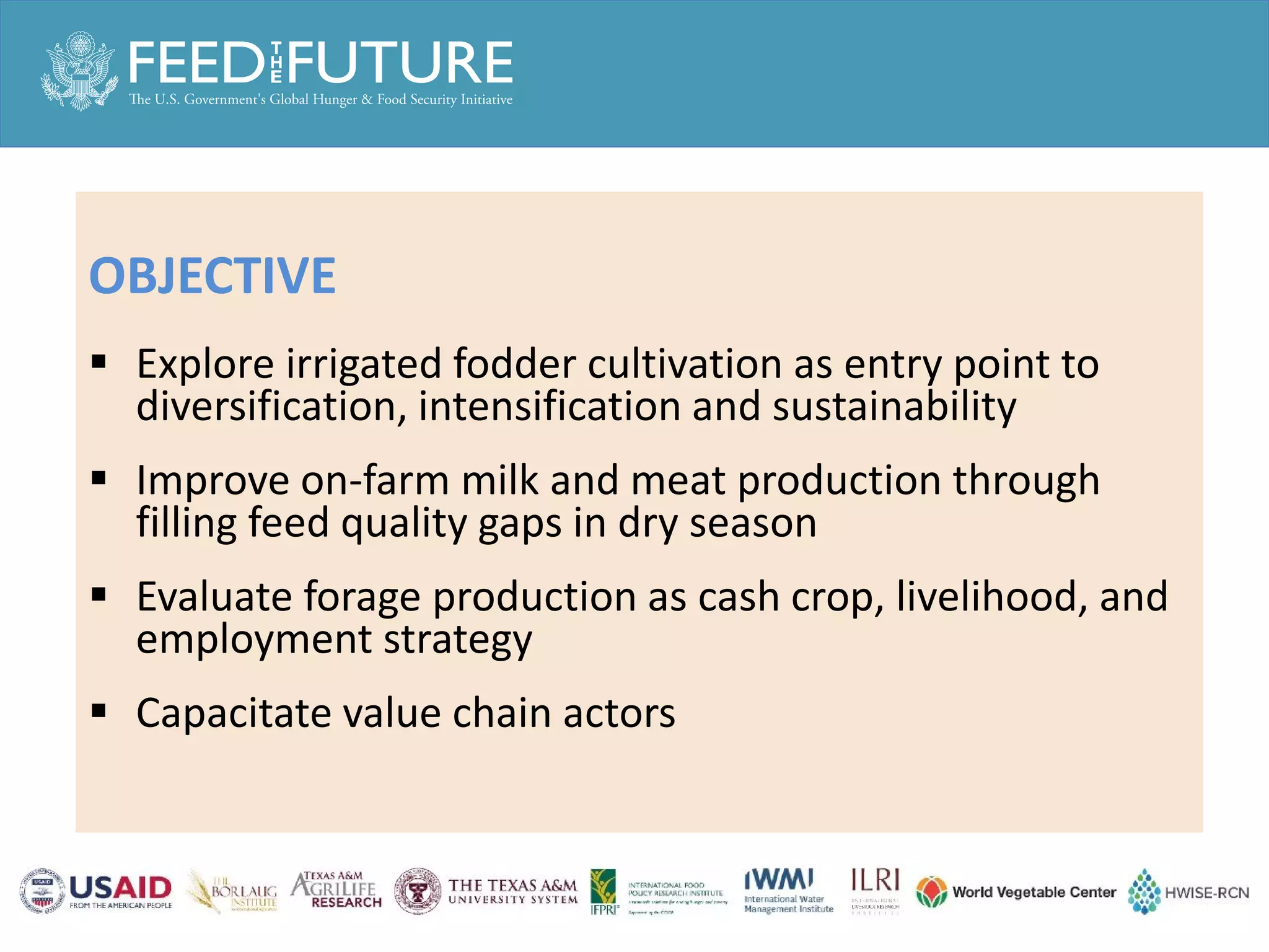Potentials for and benefits from irrigated fodder: highlights from the ILSSI research | PDF ...
