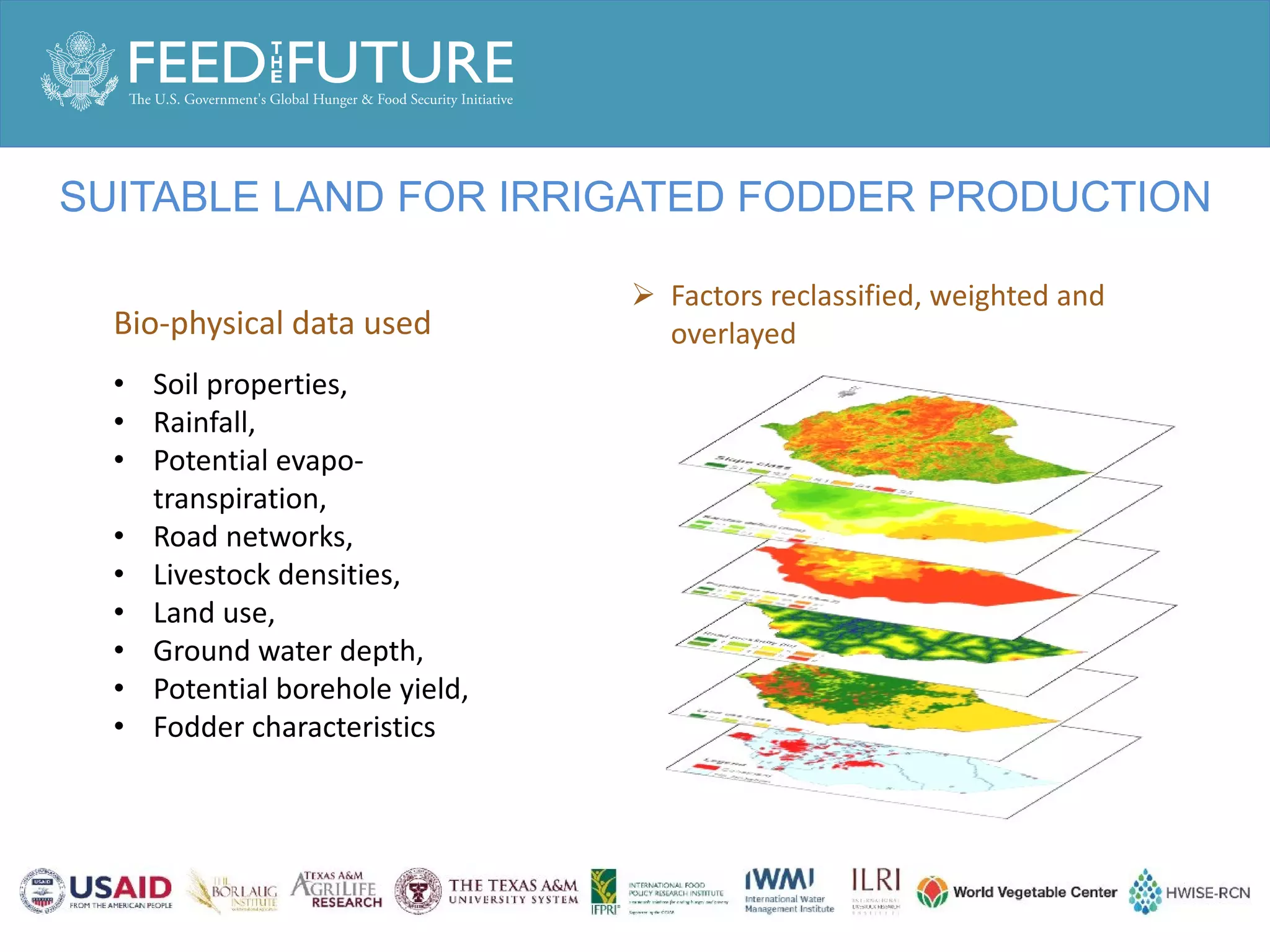 Potentials for and benefits from irrigated fodder: highlights from the ...