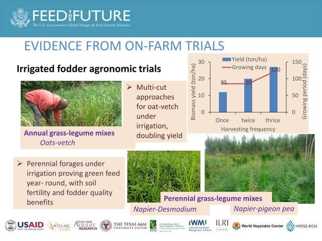 Potentials for and benefits from irrigated fodder: highlights from the ...