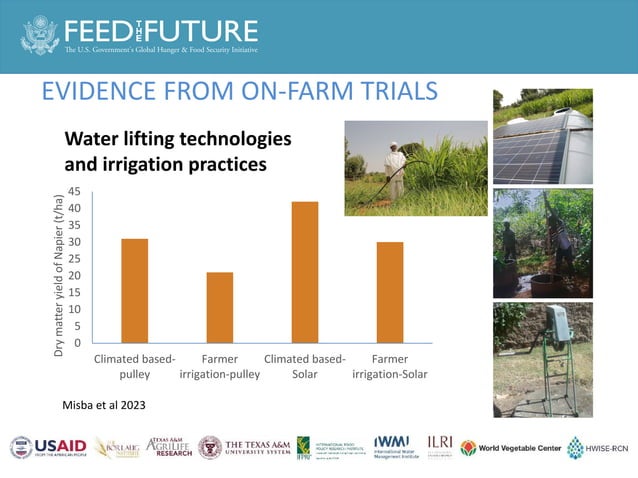 Potentials for and benefits from irrigated fodder: highlights from the ILSSI research | PPT