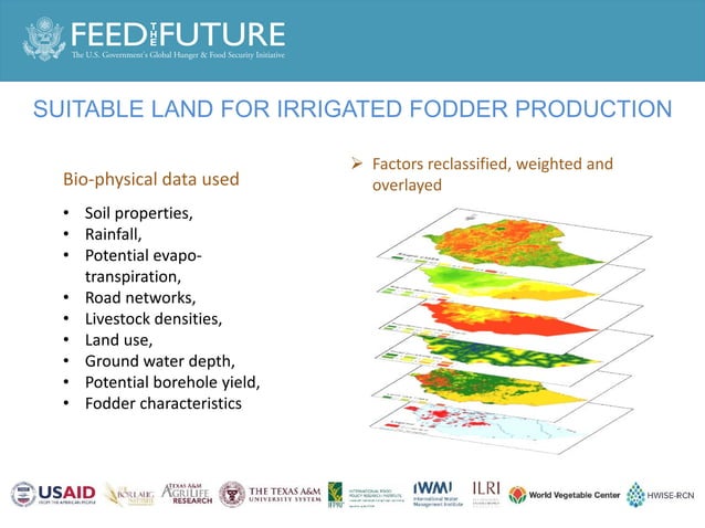 Potentials for and benefits from irrigated fodder: highlights from the ILSSI research | PPT