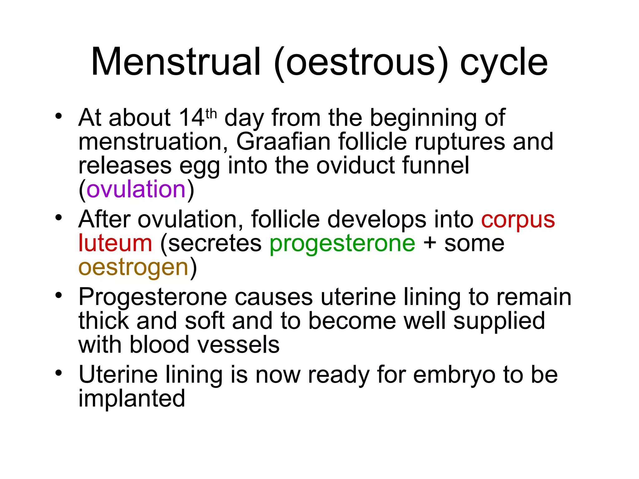 Chapter 17 Reproduction in Humans Lesson 2 - The Menstrual Cycle | PPT