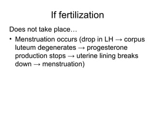 Chapter 17 Reproduction in Humans Lesson 2 - The Menstrual Cycle | PPT