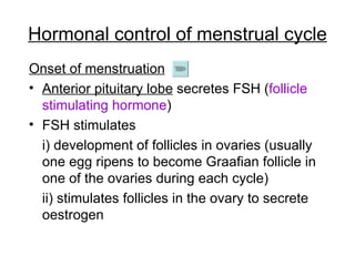 Chapter 17 Reproduction in Humans Lesson 2 - The Menstrual Cycle | PPT