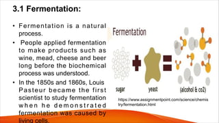 2 methods for obtaining energy from biomass | PDF