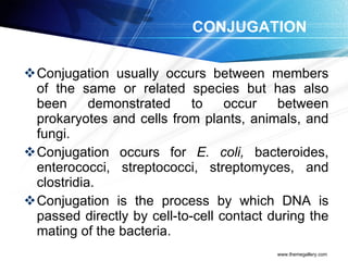 (2) microbial genetics | PPT