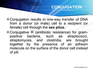 (2) microbial genetics | PPT