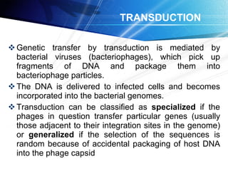 (2) microbial genetics | PPT