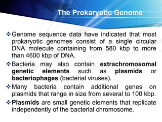 (2) microbial genetics | PPT