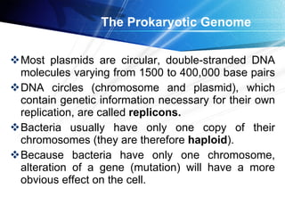(2) microbial genetics | PPT