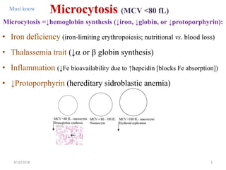 2 microcytic anemia i-iron deficiency.ppt