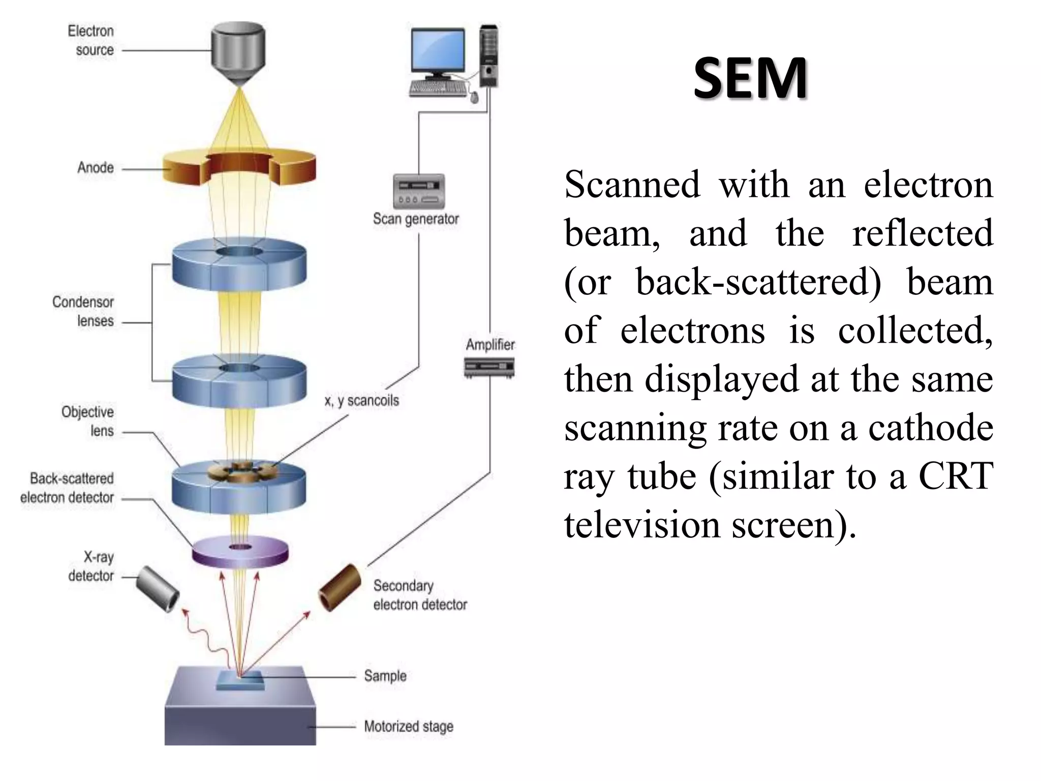 Microscopic techniques | PPT